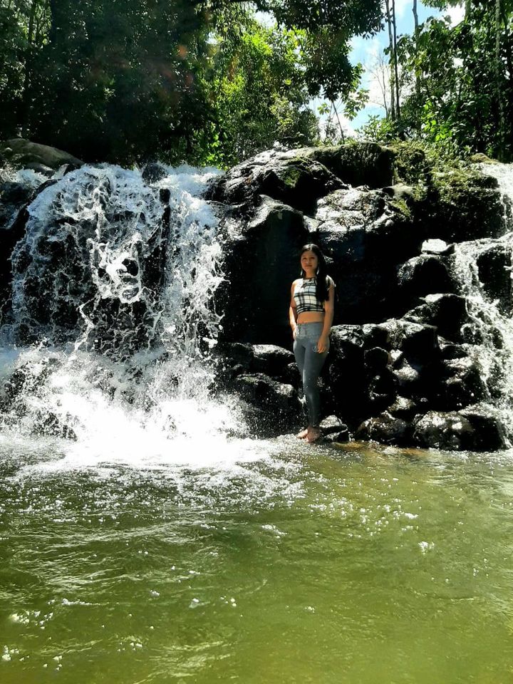 La Fiesta de la Chonta en Archidona – Hoteles Palmar del Río